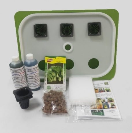 8 Plant Growing Kits To Buy Online To Unleash Your Inner Farmer