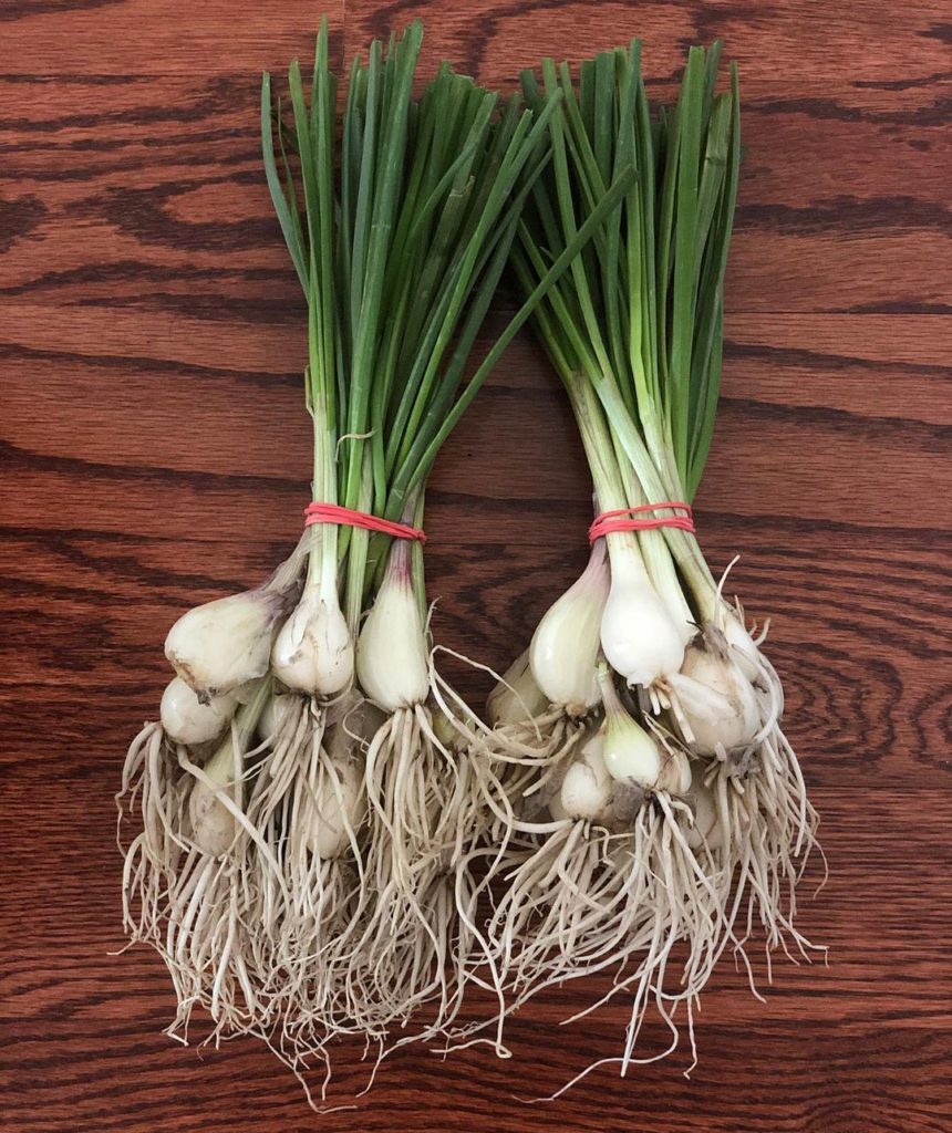 10 Longest Lasting Vegetables To Maximise Savings & Prevent Wastage