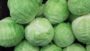 10 Longest Lasting Vegetables To Maximise Savings & Prevent Wastage