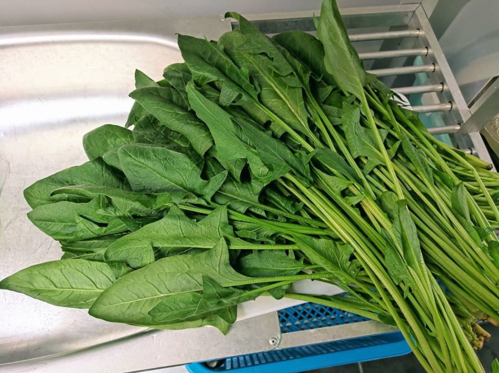 10 Longest Lasting Vegetables To Maximise Savings & Prevent Wastage