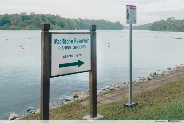 11 Things To Do In MacRitchie Reservoir - Hiking Guide With Treetop ...