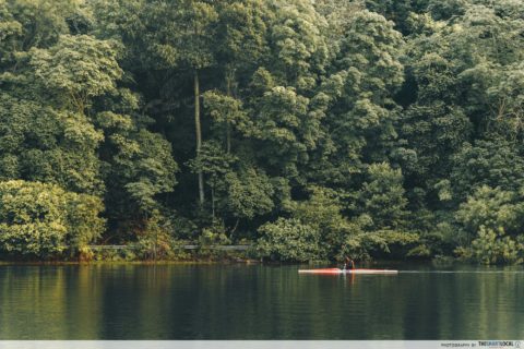 10 Things To Do At MacRitchie Reservoir Park [2024]