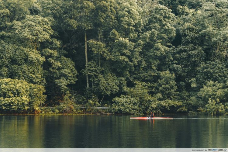 10 Things To Do At MacRitchie Reservoir Park [2024]