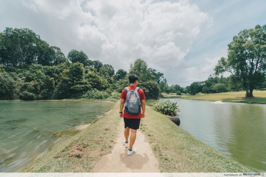 11 Things To Do In MacRitchie Reservoir - Hiking Guide With Treetop ...