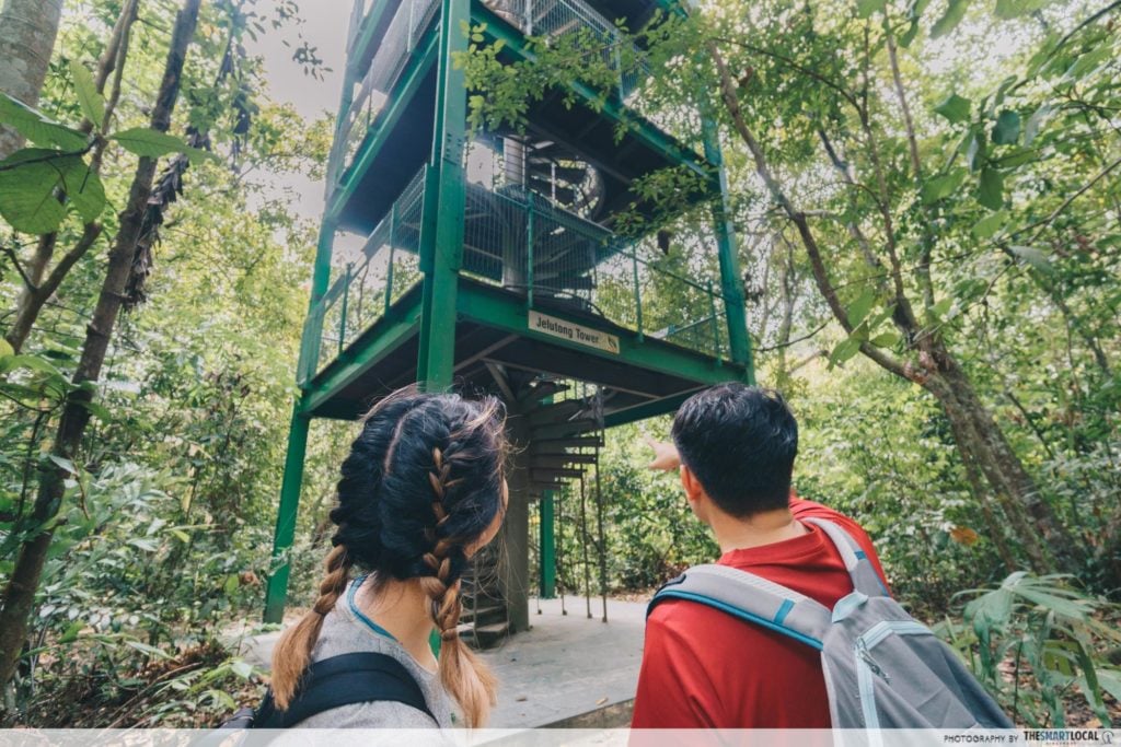 11 Things To Do In MacRitchie Reservoir - Hiking Guide With Treetop ...