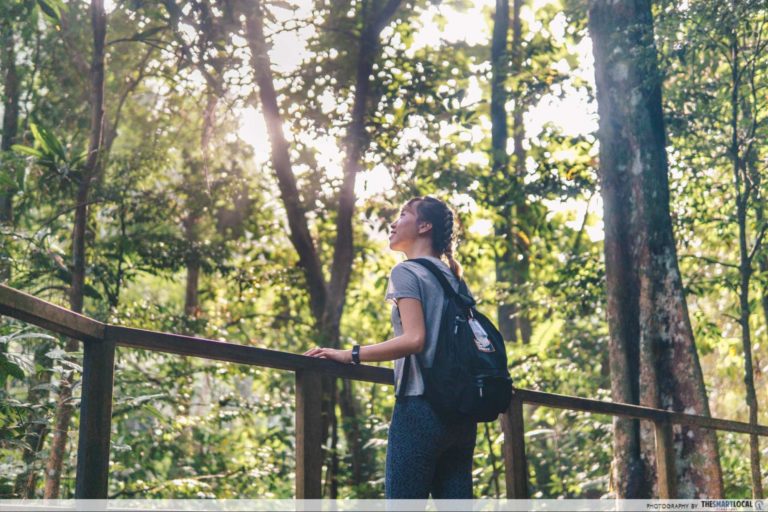 10 Things To Do At MacRitchie Reservoir Park [2024]