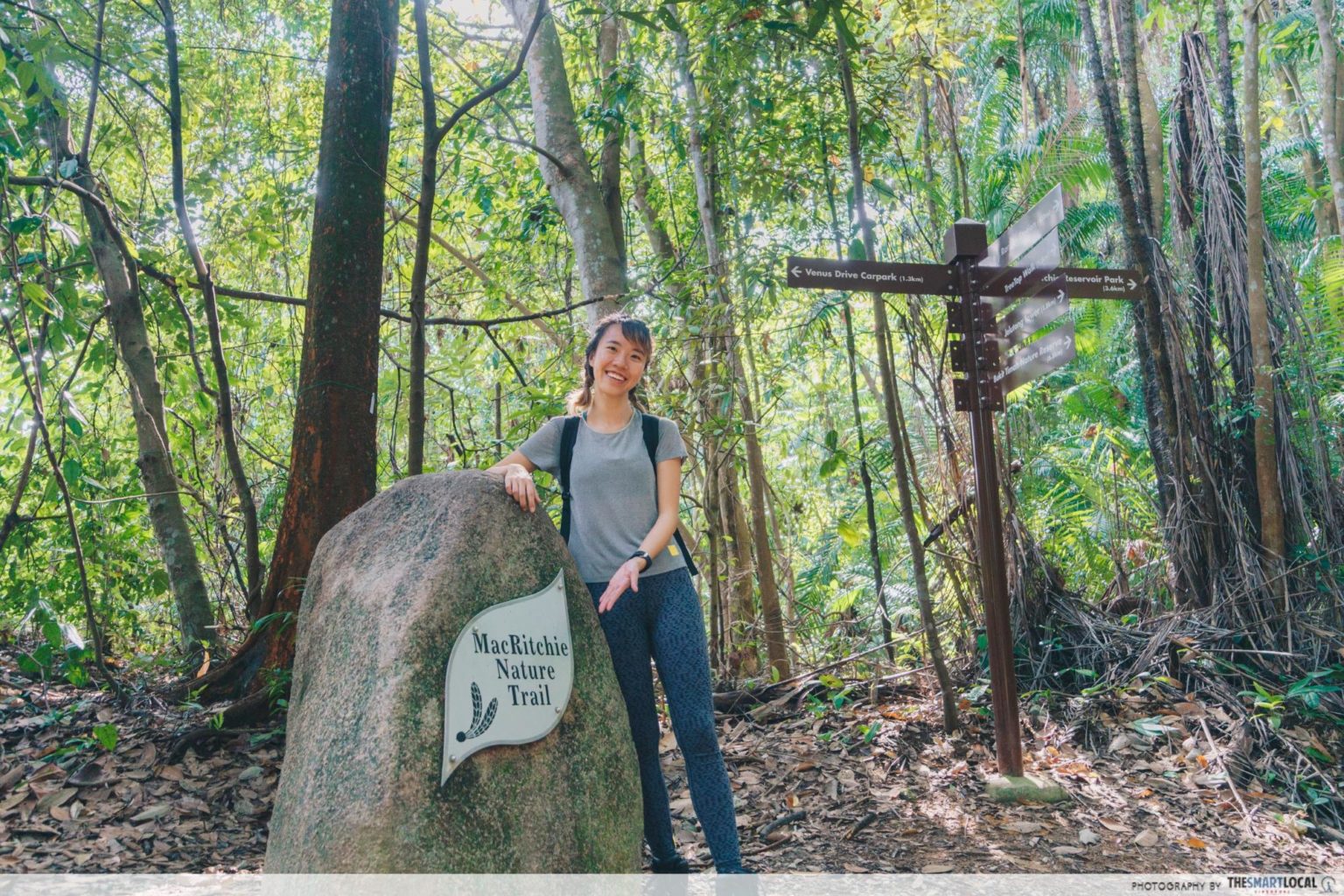 11 Things To Do In MacRitchie Reservoir - Hiking Guide With Treetop ...