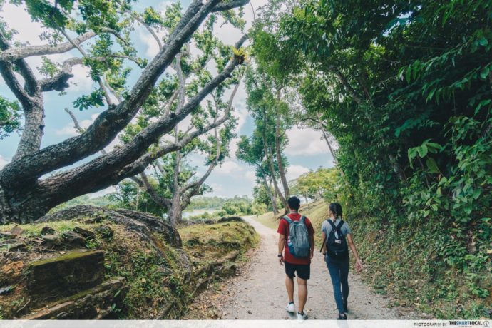 11 Things To Do In MacRitchie Reservoir - Hiking Guide With Treetop ...