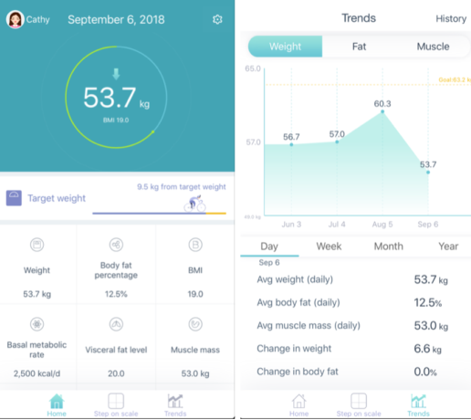 7 Best Weighing Scales In Singapore To Accurately Measure Your Weight ...