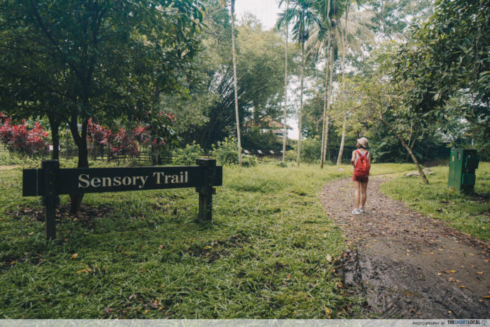 10 Things to Do in Pulau Ubin - Hiking, Kayaking & Mountain Biking