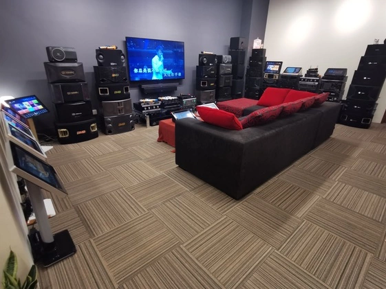 5 Home KTV Systems To Get For Those Suffering From Teo Heng Withdrawals