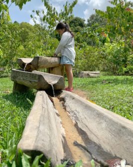HortPark: Whimsical Nature Enclave Along The Southern Ridges With 10 ...