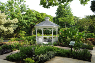 HortPark: Whimsical Nature Enclave Along The Southern Ridges With 10 ...