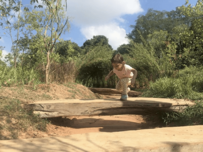 HortPark: Whimsical Nature Enclave Along The Southern Ridges With 10 ...