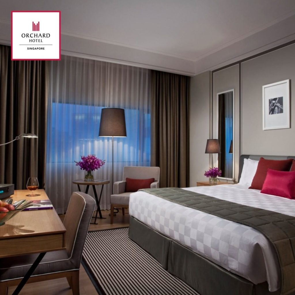 Animal Lovers Can Now Have A Wildlife-Themed Staycation In Singapore ...