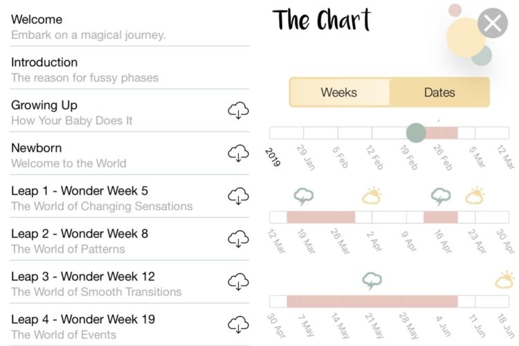 Newborn Guide For Mothers To Help You Ace The Fourth Trimester