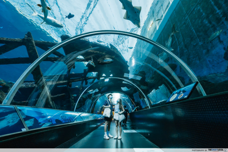 14 Things To Do In October 2020 - Mid-Autumn Lights, Virtual Plays ...