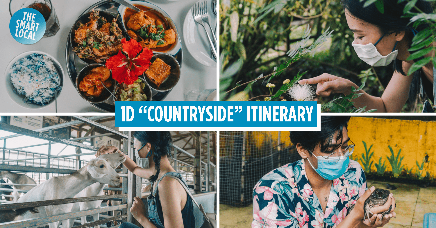 Guide To A Countryside Getaway In Singapore On A $3 Shuttle