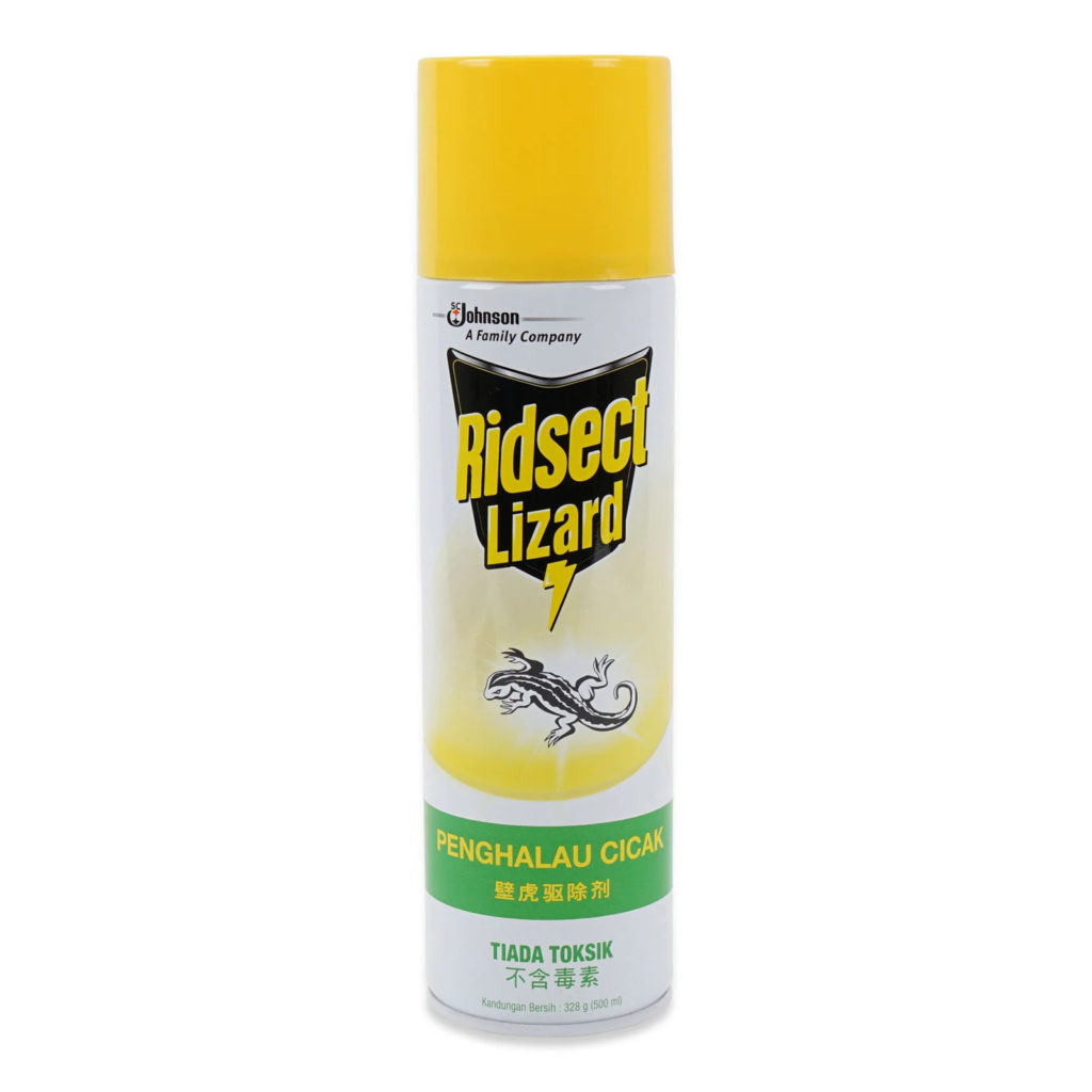 11 Ways To Get Rid Of Lizards Before Their Tails Drop Off & Go Inside ...