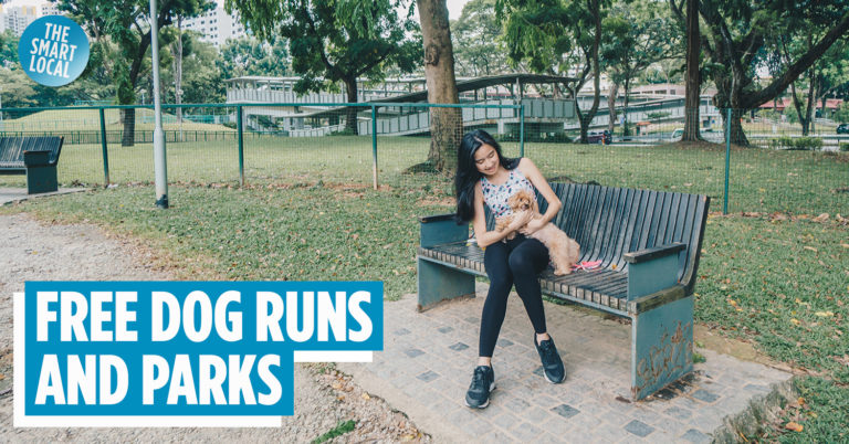 15 Best Free Dog Runs & Parks In Singapore For Doggo Playdates