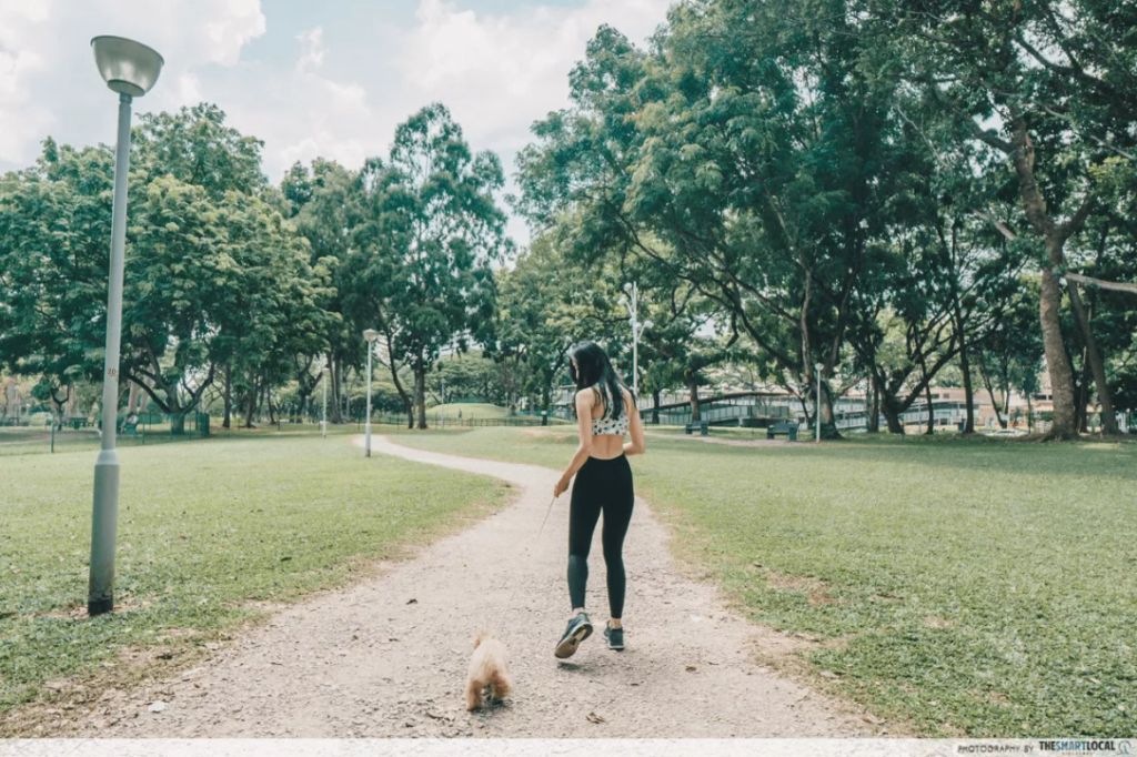 17 Best Free Dog Runs & Parks In Singapore For Doggo Playdates