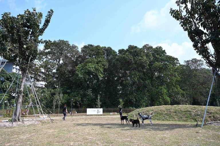 17 Best Free Dog Runs & Parks In Singapore For Doggo Playdates