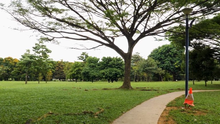 15 Best Free Dog Runs & Parks In Singapore For Doggo Playdates
