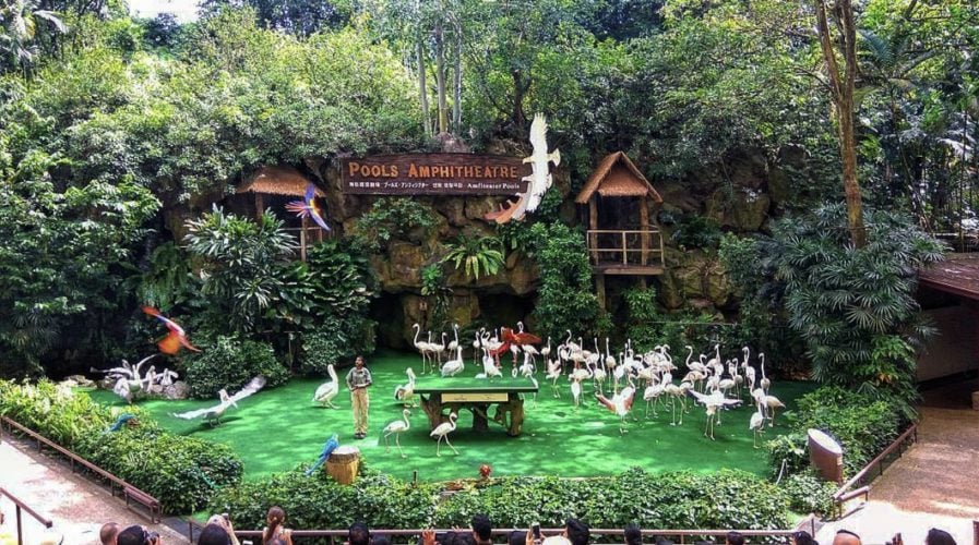 Jurong Bird Park: Asia's Largest Bird Park With Immersive Walk-in Aviaries