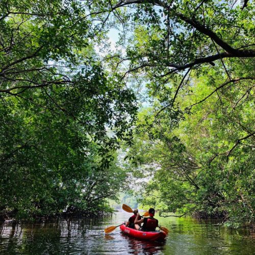 8 Outdoor Things To Do In Singapore With Kampong Vibes,To Escape The ...