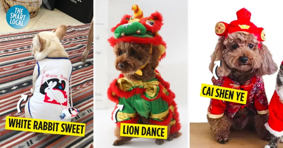 10 CNY Dog Clothes For Your Pets So They Can Go Visiting Too