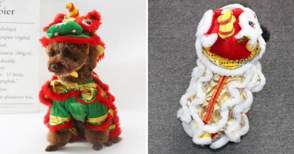 10 CNY Dog Clothes For Your Pets So They Can Go Visiting Too