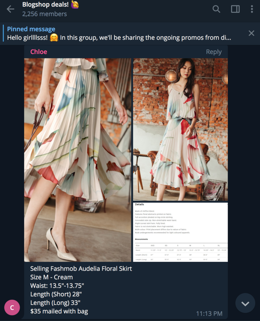 7 Telegram Groups To Sell Your Clothes In Singapore