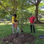 Dairy Farm Nature Park - What To Do Like Nature Trails & Sightseeing