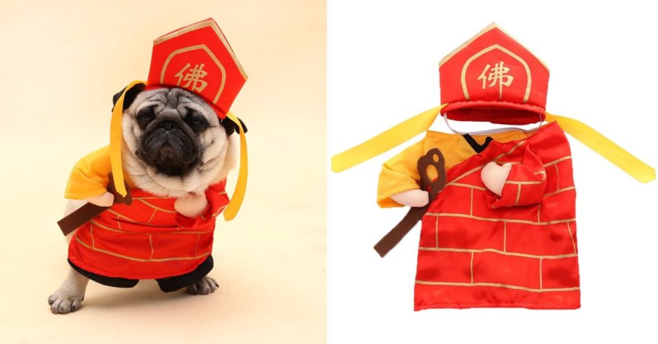 10 CNY Dog Clothes For Your Pets So They Can Go Visiting Too