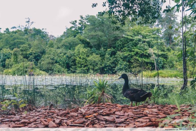 7 Hidden Nature Spots You Keep Seeing On Instagram