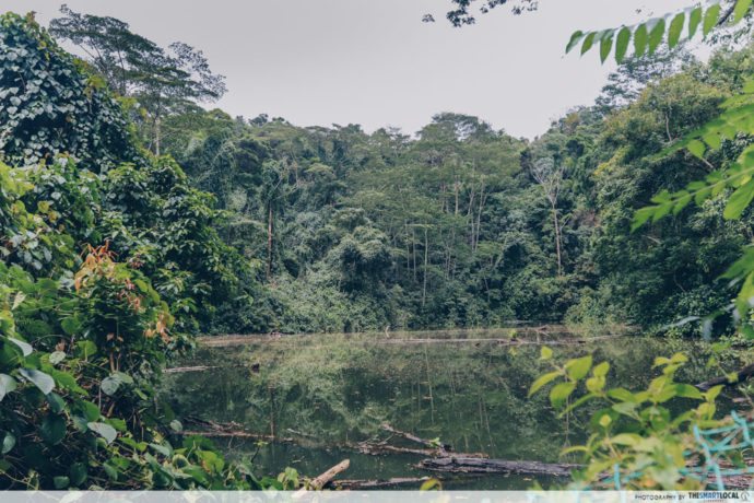 7 Hidden Nature Spots You Keep Seeing On Instagram