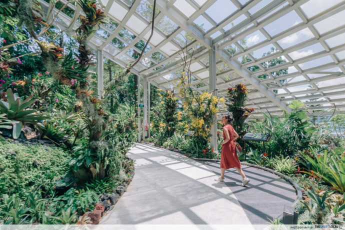 Tropical Montane Orchidetum: Singapore Botanic Gardens’ New Glasshouse ...
