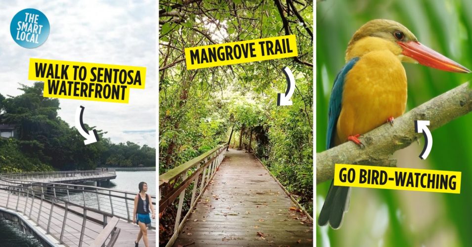 Berlayer Creek Boardwalk: Coastal Mangrove Trail Near Labrador Park