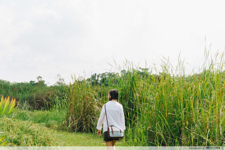 10 Things To Do In Sengkang - IG-Worthy Wetlands, Free TCM Clinic ...