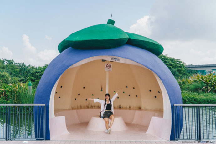Sengkang Riverside Park - Fruit-Themed Boardwalk & Lalang Field