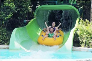 Adventure Cove Waterpark Guide: Cabanas & Thrilling Water Slides