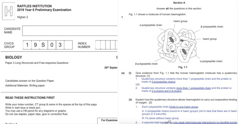 9 Free A-Level Exam Resources To Make Bell Curve A Distant Memory