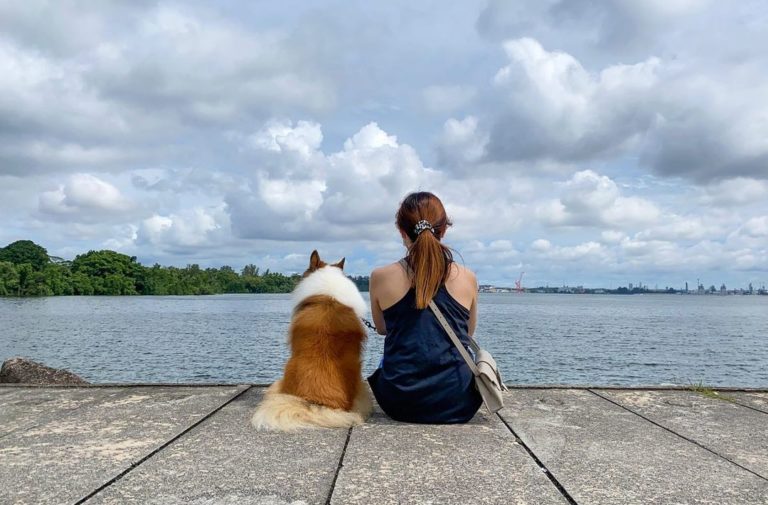 Yishun Dam: Ulu Scenic Lookout With IG-Worthy Waterfront Views