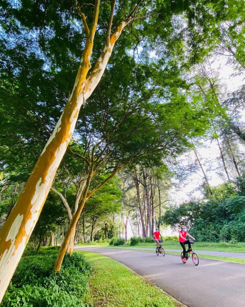 9 Long-Distance Cycling Routes In Singapore For Your Next Weekend Out