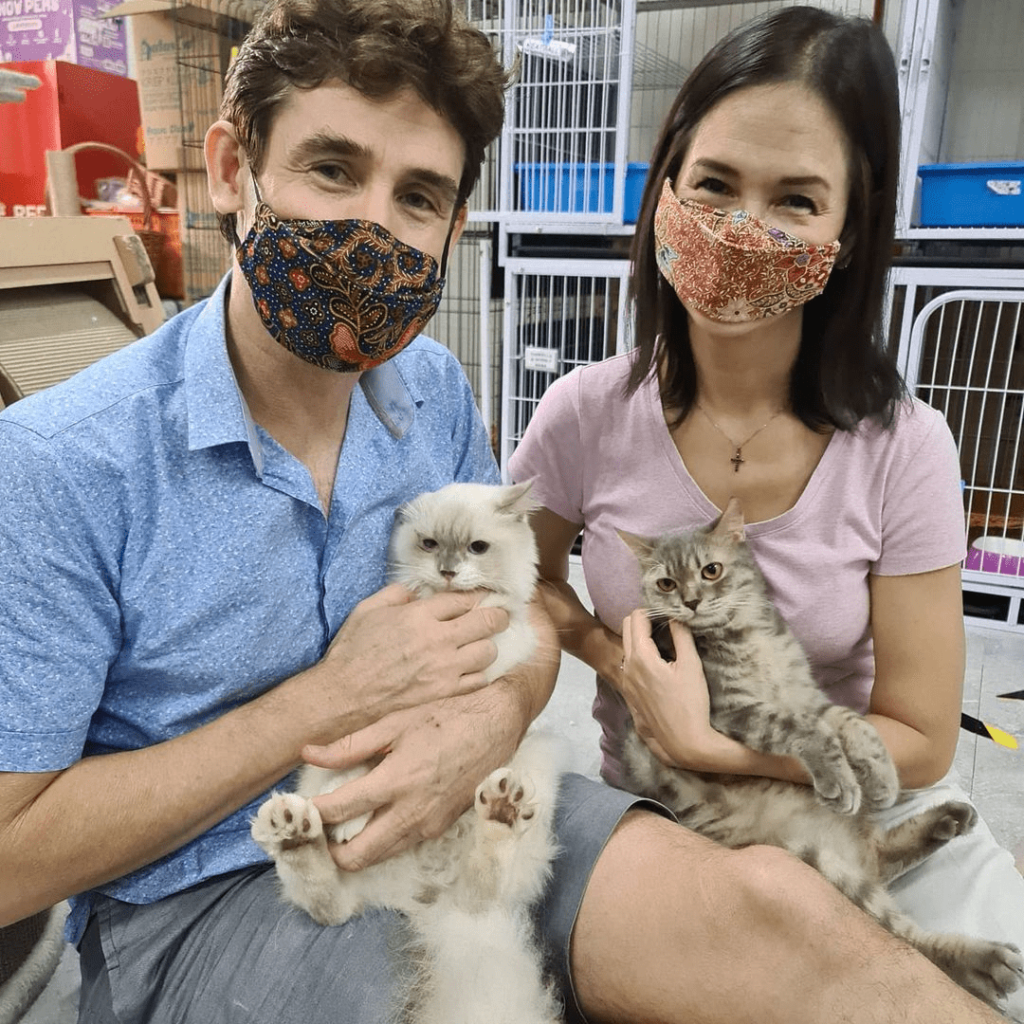 Kitten Sanctuary Singapore: A Crazy Cat Lover’s Heaven