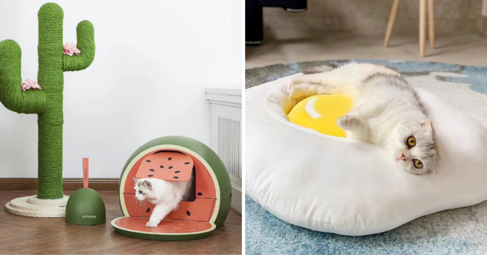 16 Places To Buy Pet Accessories In Singapore To Spoil & Dress Up Your ...
