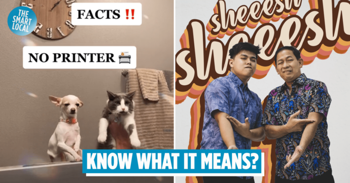 TikTok Slangs And Their Meanings So We Can Keep Up With Gen Z Kids