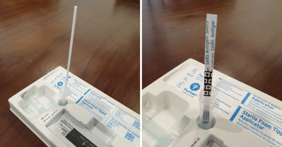 Antigen Rapid Test Kit: DIY Swab Tests To Try At Home