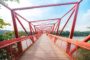Lorong Halus Wetland: Hidden Dirt Tracks & Sunset Bridge