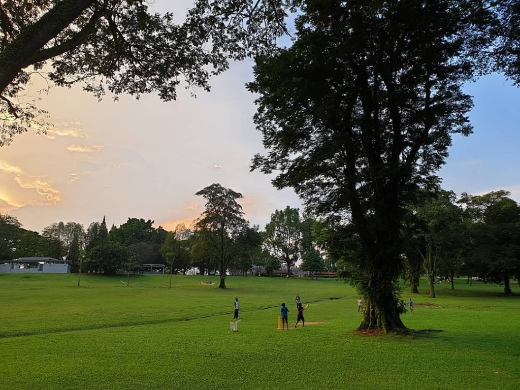 8 Open Spaces To Work Out In SG That Are Not ECP Or Singapore Botanic ...